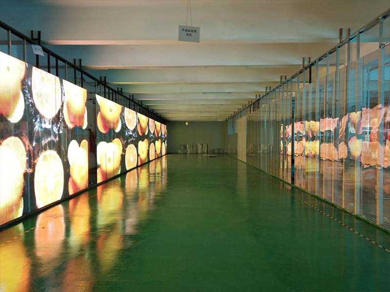 Transparent LED - Jasionlight